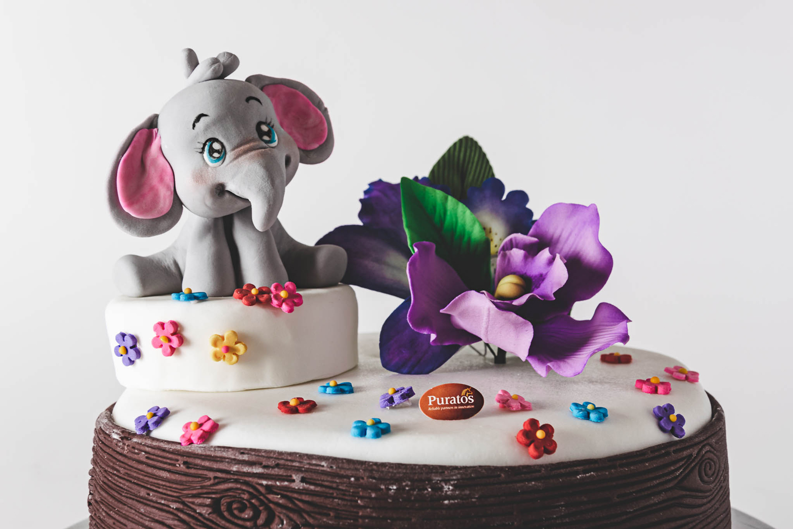 Torta Decorada Con Fondant - Puratos
